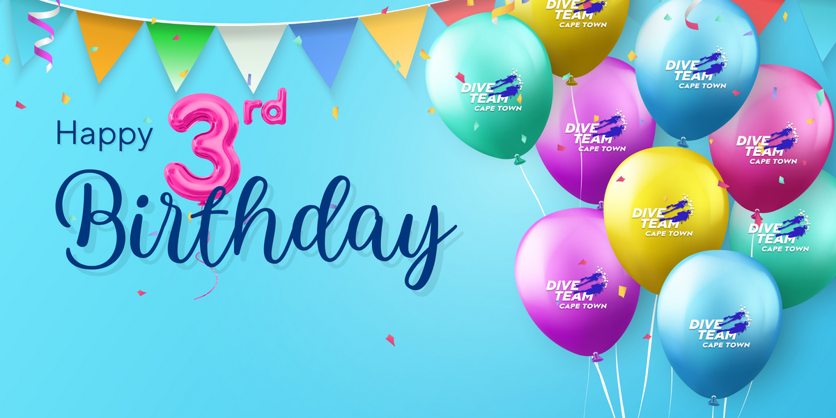 Dive Team Turns Three! – Dive Team - Cape Town