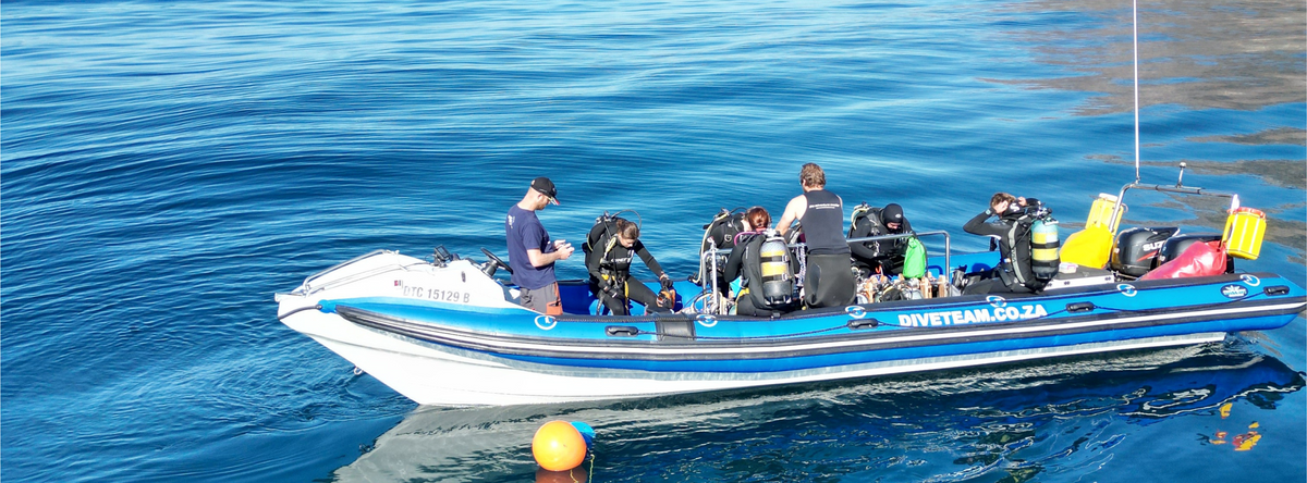 Contact – Dive Team - Cape Town